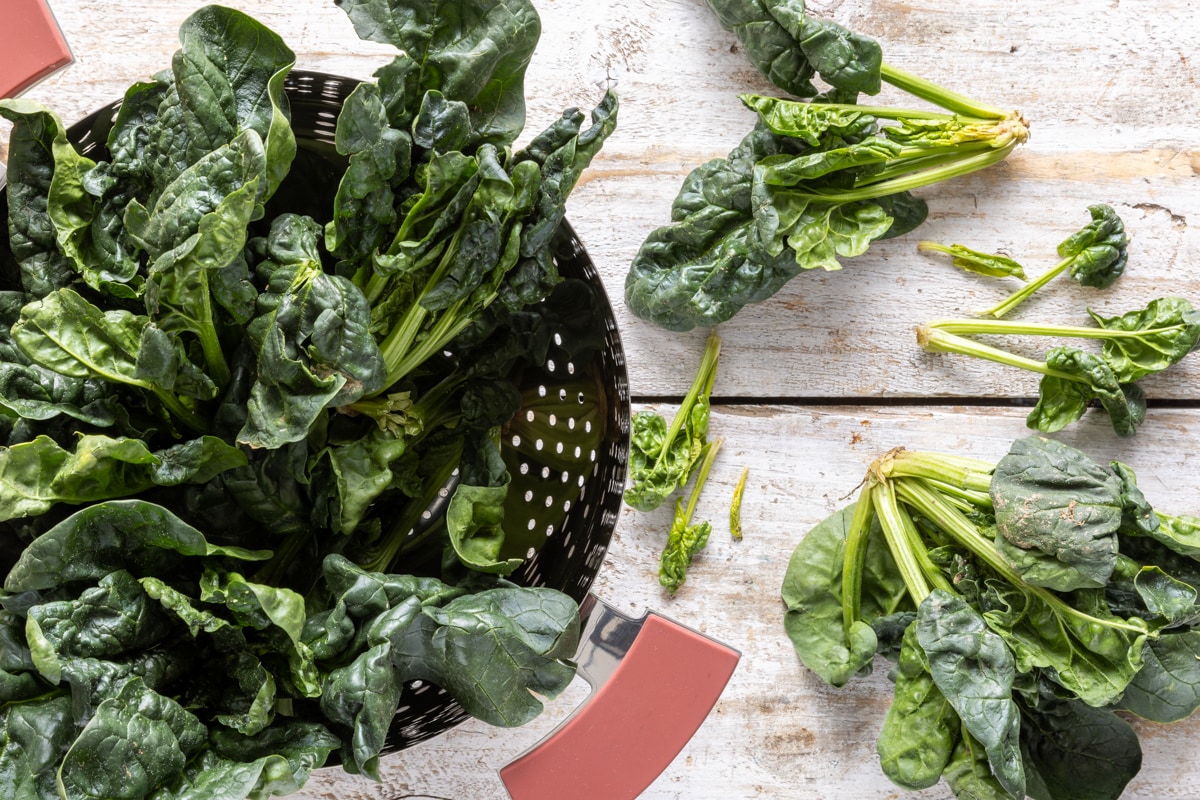 Come cucinare gli spinaci: proprietà, usi, ricette e curiosità