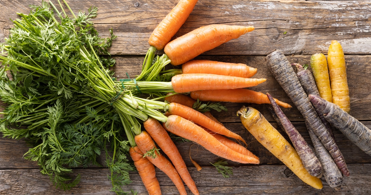 Come cucinare le carote: proprietà, usi, ricette e curiosità