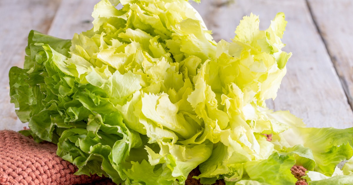 Come cucinare la scarola: proprietà, usi, ricette e curiosità