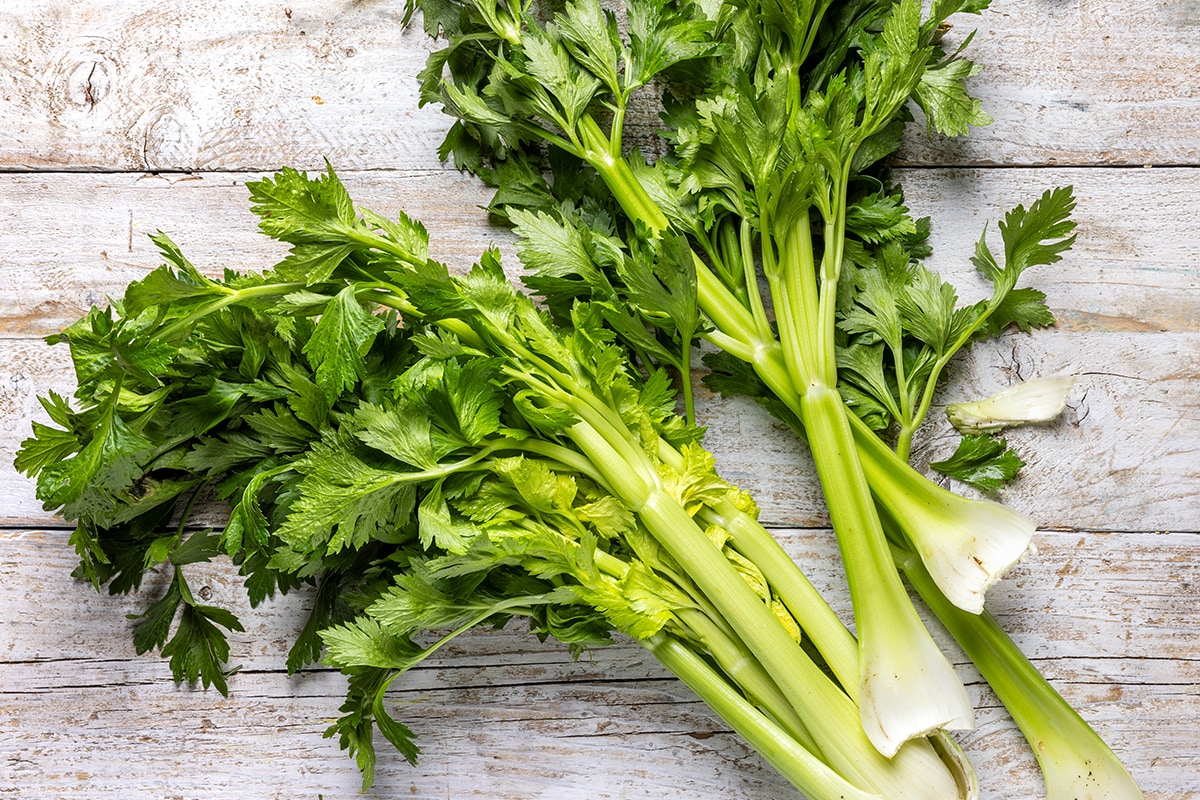 Come cucinare il sedano: proprietà, usi e ricette - Cucchiaio d'Argento