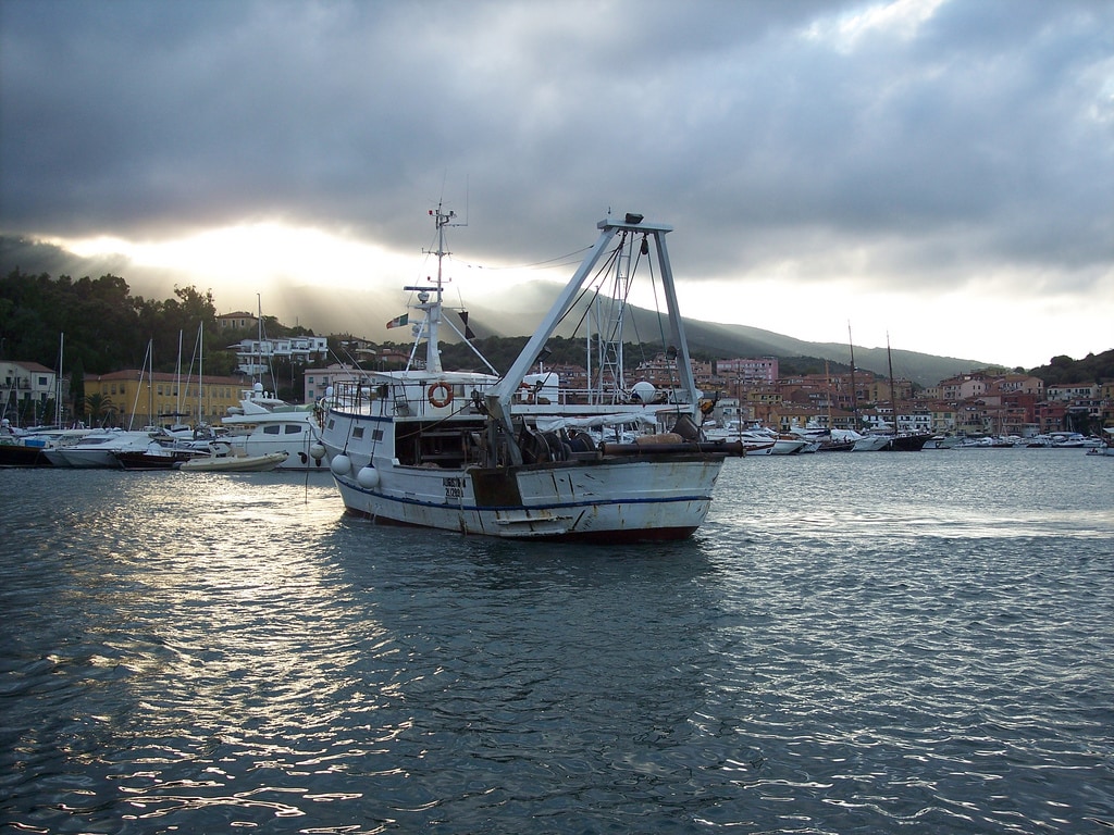 L'Europa alle prese con la pesca intensiva - Cucchiaio d'Argento