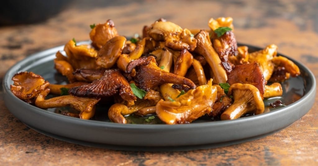 Champignon, finferli, chiodini: tutti i funghi buoni da mangiare. Quali ...