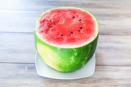 Ricetta Torta fredda di anguria - Cucchiaio d'Argento