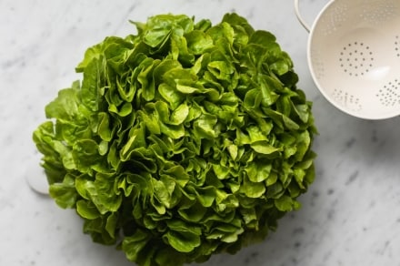 Ricetta Pesto di lattuga - Cucchiaio d'Argento