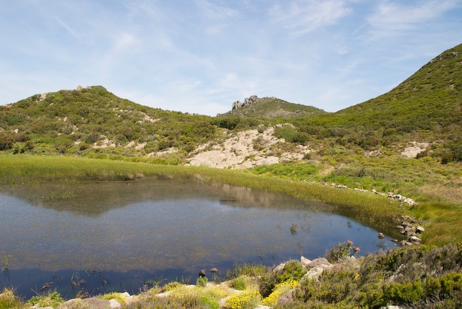ITINERARI | CAPRAIA - Cucchiaio d'Argento