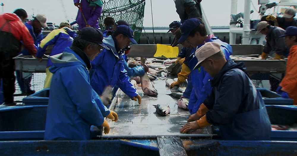 ROTTEN: PERCHÉ VEDERE LA NUOVA DOCUSERIE SUL CIBO DI NETFLIX ...