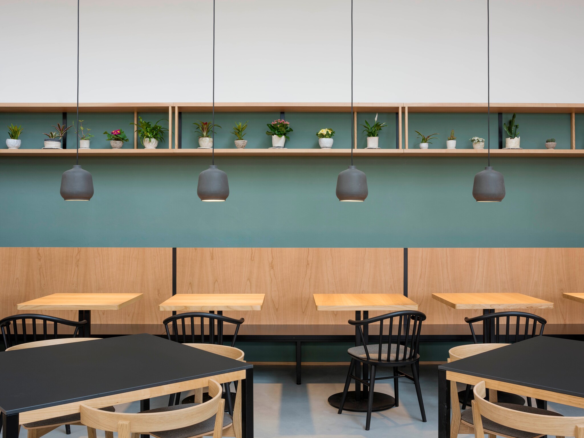 ECCO TENOHA, UN NUOVO SPAZIO GIAPPONESE A MILANO - Cucchiaio d'Argento