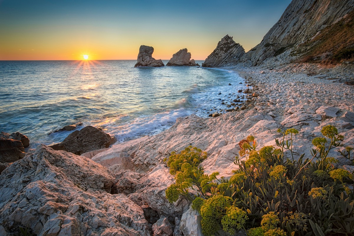 Cosa sono i paccasassi e perché vale la pena di scoprirlo - Cucchiaio d ...