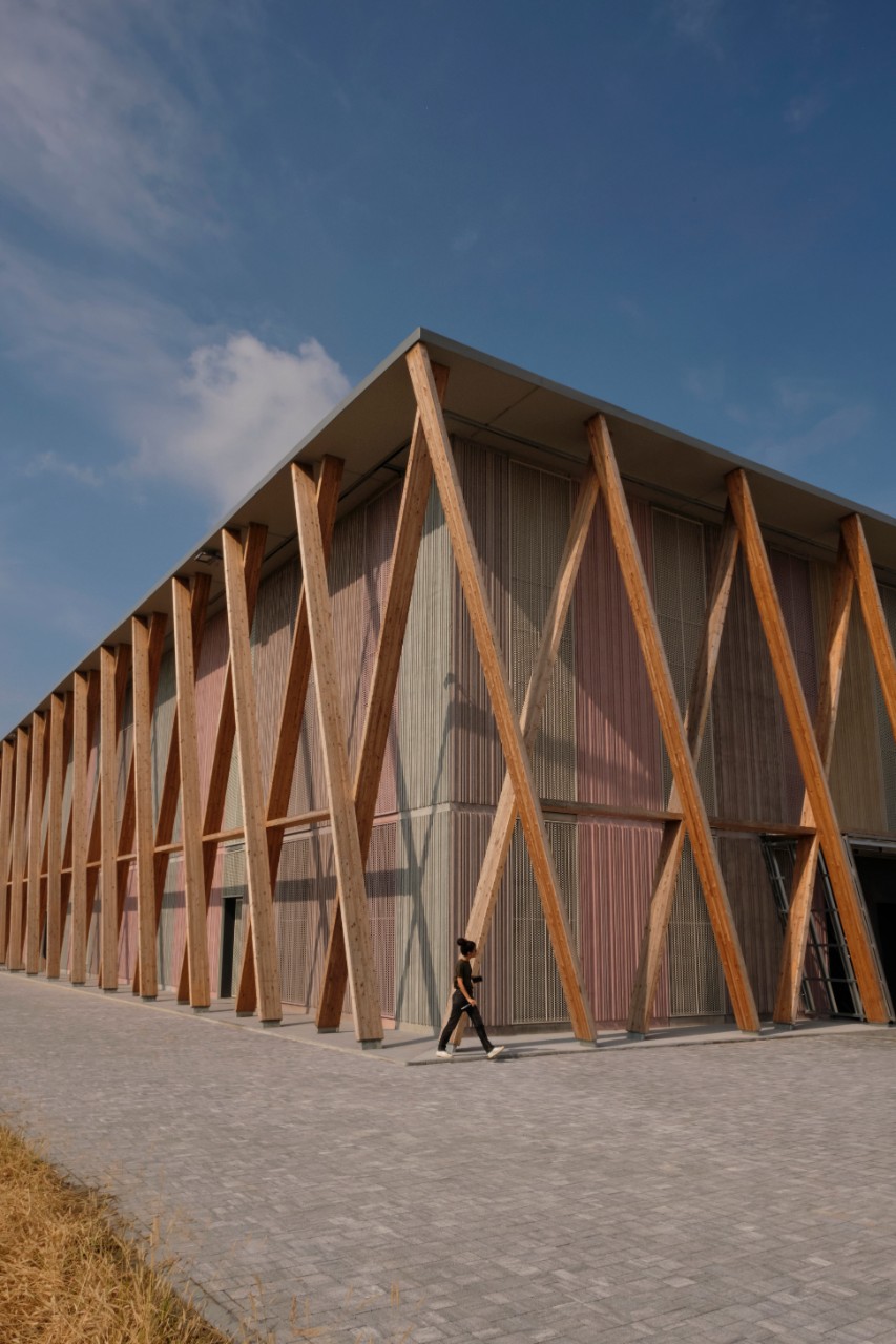 Planet Farms e l'insalata verticale: come si coltiva, dove si compra e ...