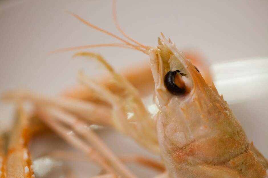 LO SCUDIERO, PESARO - Cucchiaio d'Argento